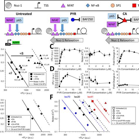 Dynamic Programming Algorithm For Codon Context Optimization Download Scientific Diagram