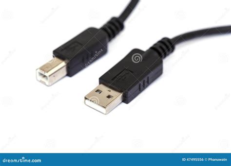 Usb Cable Isolated On White Stock Photo Image Of Spider Line