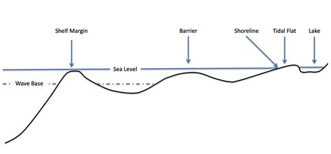 Solved Using The Folk And Dunham Classification Schemes
