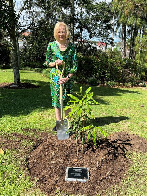 Australian Nurserys Fruit Improvement Company Anfic Ltd On Linkedin