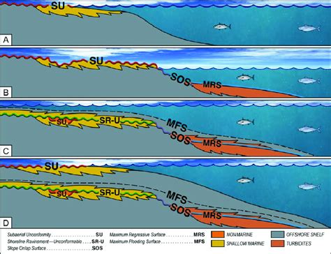 schematic evolution of inductive sequence stratigraphic surfaces