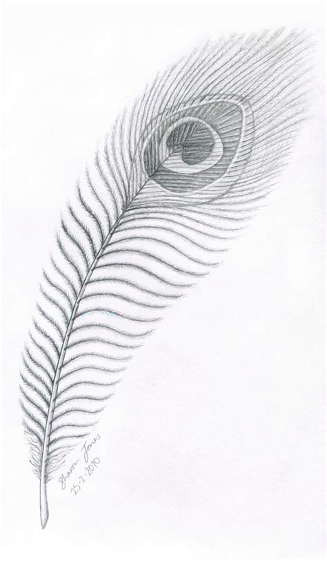 How To Draw A Peacock Feather If You Can Draw Basic Shapes You Can Draw A Peacock