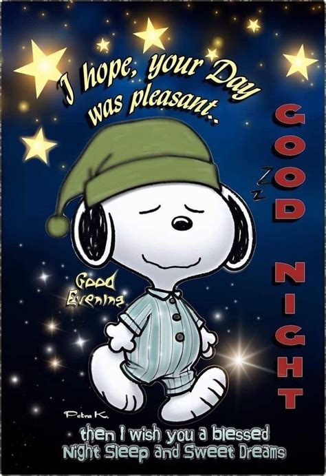 Snoopy Good Night 