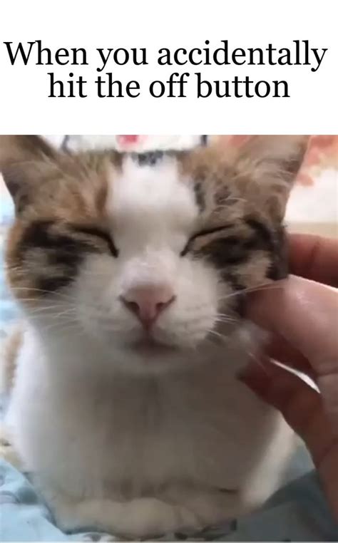 Help My C Program Stopped Responding Rcat