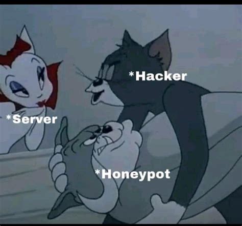 Pic Of The Day Cybersecurity And Cissp Toluwani Abe Posted On The