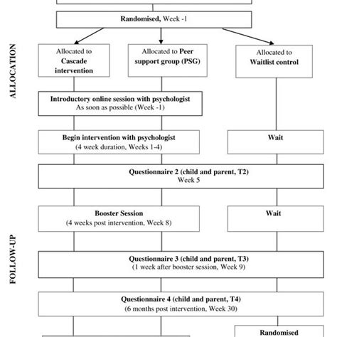 Cascade Study Flowchart Download Scientific Diagram