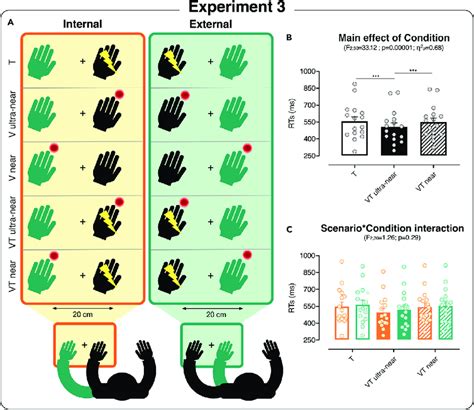 Experiment 3 A The Figure Depicts The Experimental Setting And