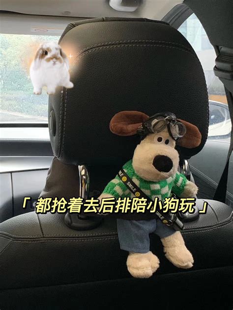 快要被这两只小狗抢走风头啦！ Undefined 易车社区