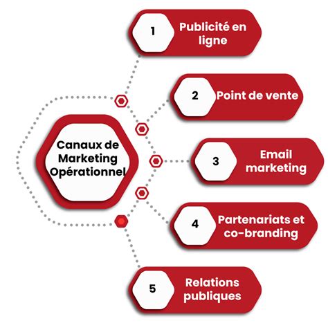 Les 5 Types De Marketing Catégories Clés