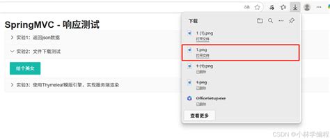 Springmvc系列（五）（响应实验以及restful架构风格（上）） Csdn博客
