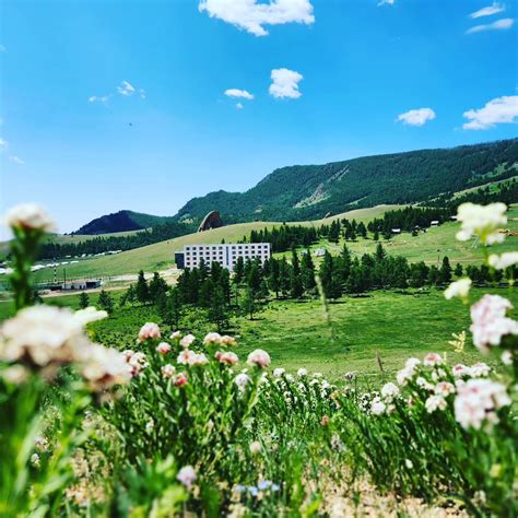 🏕 ЗУНЫ ЗУСЛАНГИЙН ХОЁРДУГААР ЭЭЛЖИЙН БҮРТГЭЛ ЭХЭЛЛЭЭ🏡 Төлбөр 480 000 төгрөг Хугацаа 2023 06 25