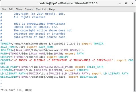 Oracle Tuxedo Monitoring With A Sample Application Using Instana