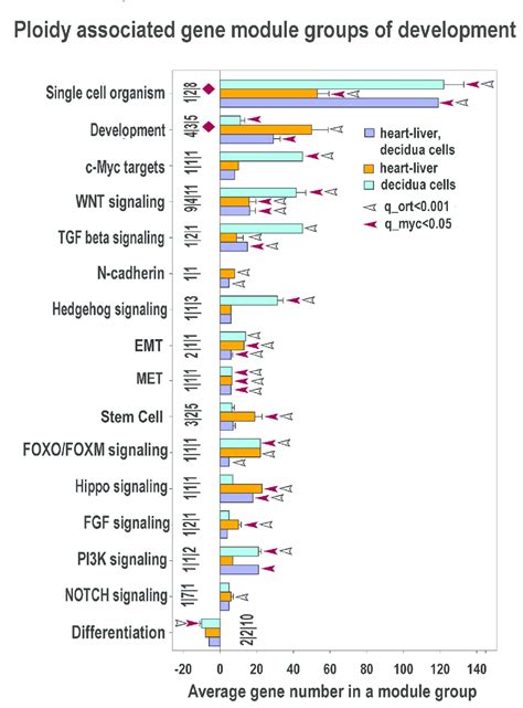 Development And Stemness Modules Significantly Enriched For Download Scientific Diagram