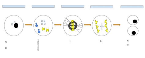 Biology Chapter 3 Part C Diagram Quizlet