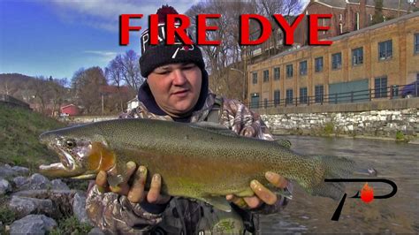 Pennsylvania Trout Fishing Youtube