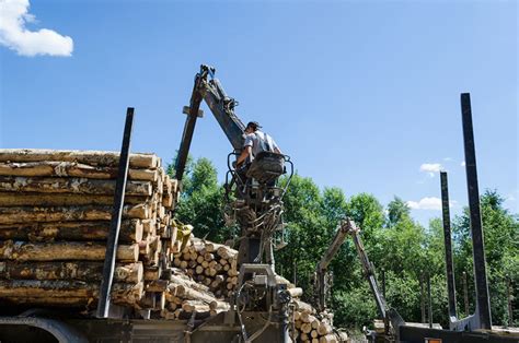 What Does A Logging Worker Do How To Become One