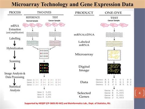 Robust Prediction Of Cancer Disease Using Pattern Classification Of