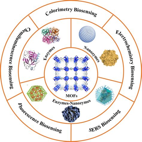 Biocatalytic Metal‐organic Frameworks Promising Materials For