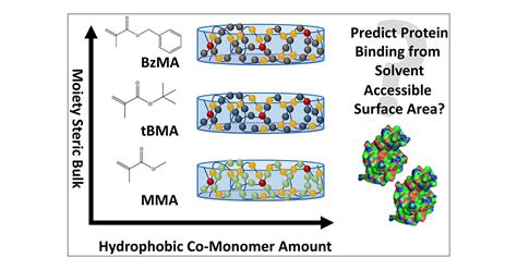 Design Of Synthetic Hydrogel Compositions For Noncovalent Protein Recognition Acs Applied