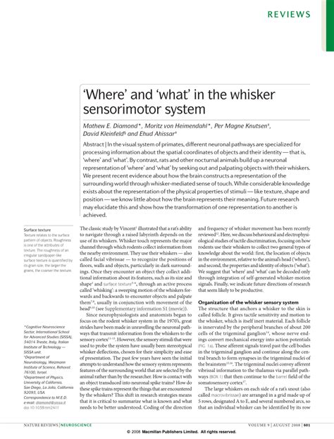 Pdf Where And What In The Whisker Sensorimotor System