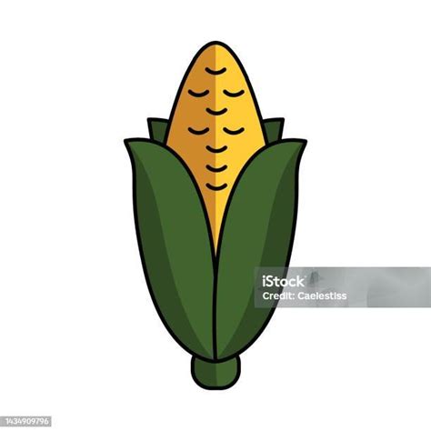 옥수수 야채 식물 선형 아이콘 로고 색상 윤곽선 수확 작물 비건 채식 음식 흰색 배경에 고립 된 그림자가있는 평면 스타일의 미니멀리스트 벡터 일러스트 레이 션 Kwanzaa