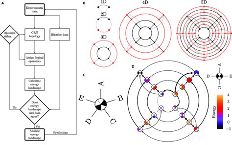 Cellogene Workflow And Visualization Of High Dimensional Discrete Download Scientific Diagram