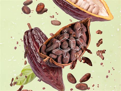 Mondelez Invests In Israeli Startup Making Cell Based Cocoa With Ai
