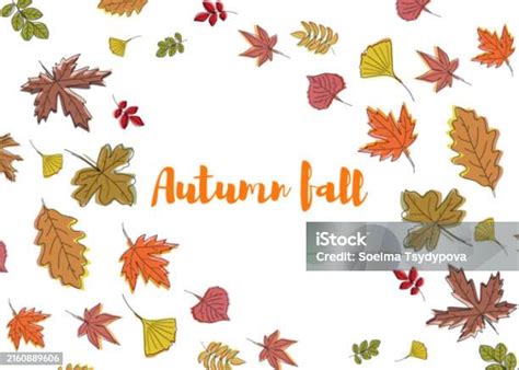 가을 빨강 주황 노랑 갈색 참나무와 단풍나무 잎 모퉁이 프레임 가을 가을 벡터 일러스트 레이 션 0명에 대한 스톡 벡터 아트 및 기타 이미지 Istock
