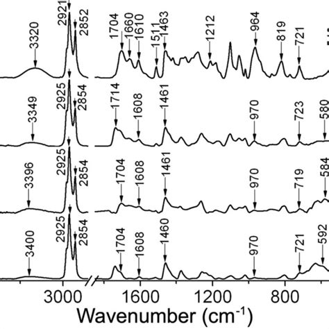 Atr Ftir Spectra Obtained For The Samples A Tutm B M10 C M2 D M1