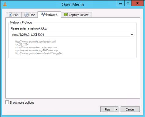 Juniper Vmx Multicast Configuration