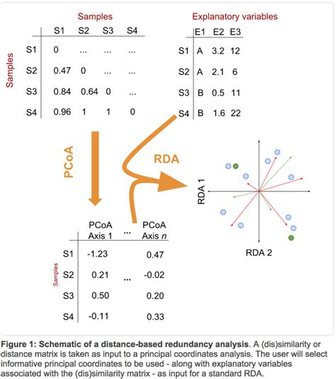 Distance Based Redundancy Analysis Db Rda In R Archetypal Ecology