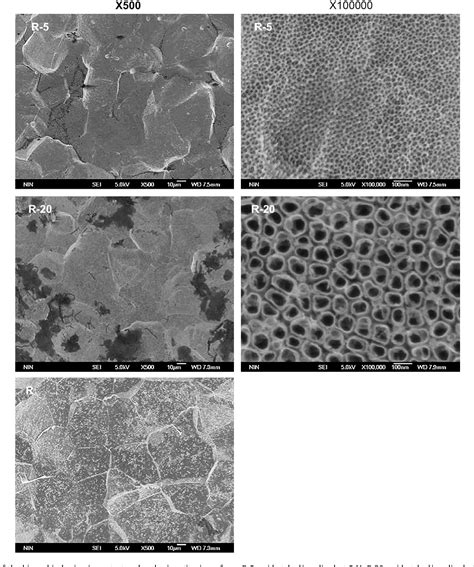 Figure 1 From The Influence Of Hierarchical Hybrid Micronano Textured
