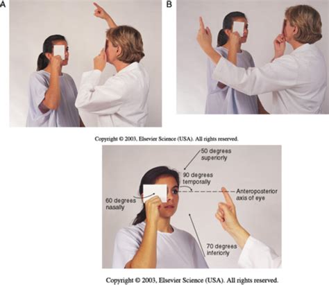 Vision Theory Flashcards Quizlet