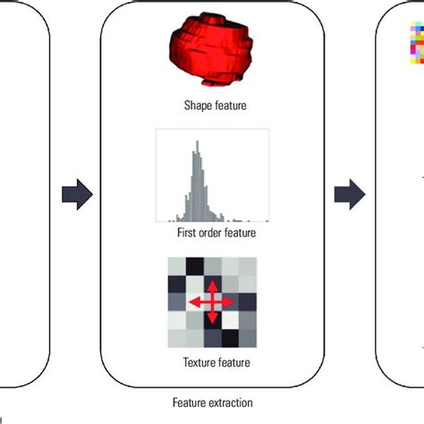 Radiomics Pipeline After Resampling N4 Bias Correction Image