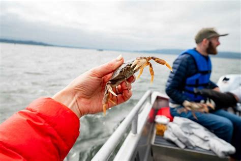 5 Great Oregon Coast Crabbing Spots Locals Guide Oregon Essential