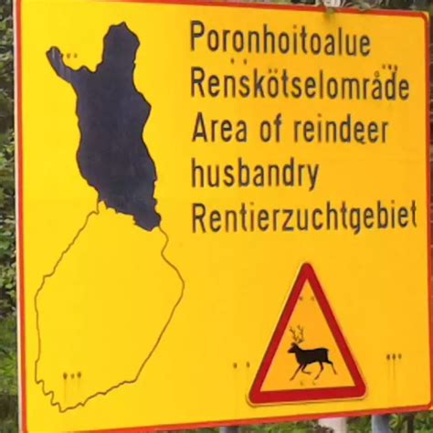 Lumous Lapland 275g Laplands Magic Honey Polar Honey