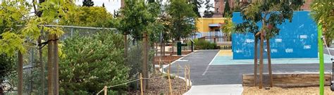 School Tree Study Ucla Luskin Center For Innovation