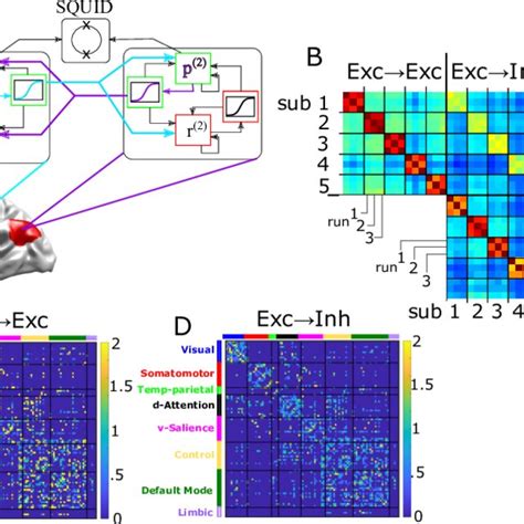 A Block Schematic Of The Neural System Each Of The Brain Areas Download Scientific
