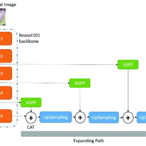 Overall Architecture Of Semantic Based Cnns Segtongue Download Scientific Diagram