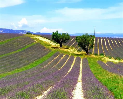Le Migliori 10 Cose Da Vedere A Valensole 2026