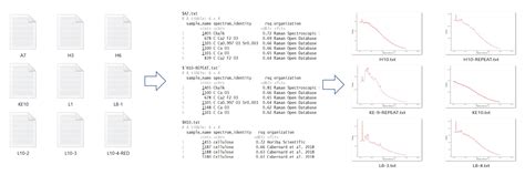 GitHub Madpk Microplastic Polymer Identification And Visualization Identifying Microplastic