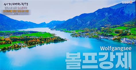 모차르트 볼프강제 빈 어떻게 취직한 자리인데