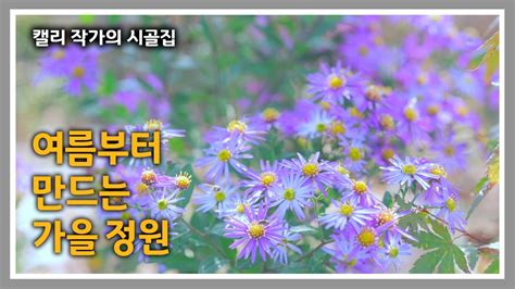 청운재 141 어떤 꽃을 심을까 단풍잎 편지 가을을 기다리며 Youtube