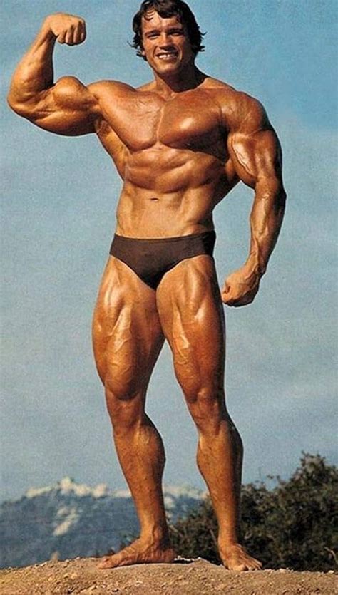 Arnold Schwarzenegger Biceps Size