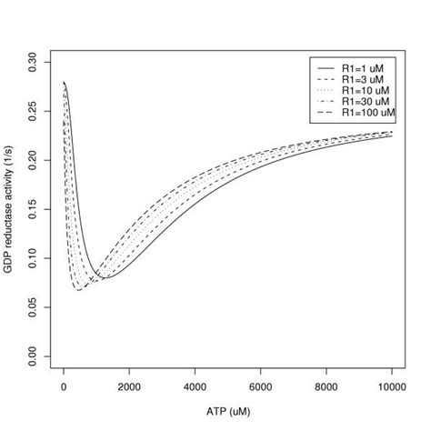 Gdp Reductase As A Function Of Atp Concentration At Various R1