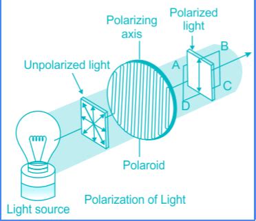 Polarization Of Light Definition Types Methods Uses Types