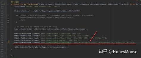 cors 测试 提示错误 reason header authorization 知乎