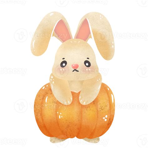 Rabbit Fall Autumn Woodland Pumpkin Hand Drawn Watercolor Illustration