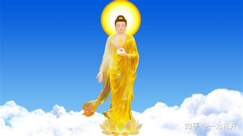 阿弥陀佛感应故事029 一米以内，没有细菌 知乎
