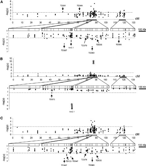 Plot Of Association P Values Over The Chromosome 2 Associations Are